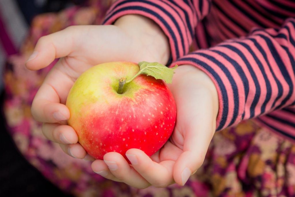 ¿La inocuidad se mantendrá revalorizada? – Portal de Inocuidad