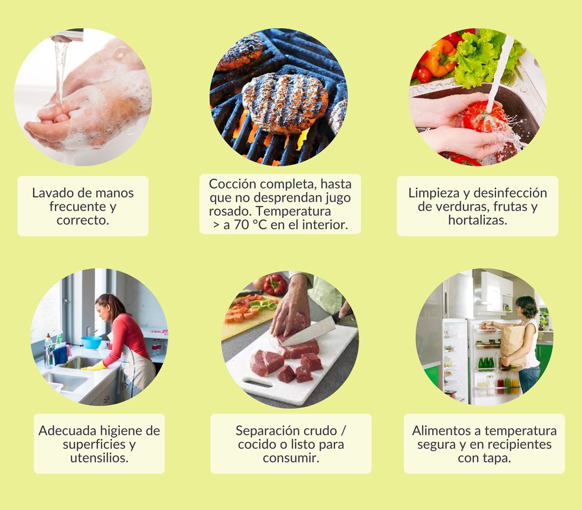 ¿Qué es el Síndrome Urémico Hemolítico (SUH)? – Portal de Inocuidad