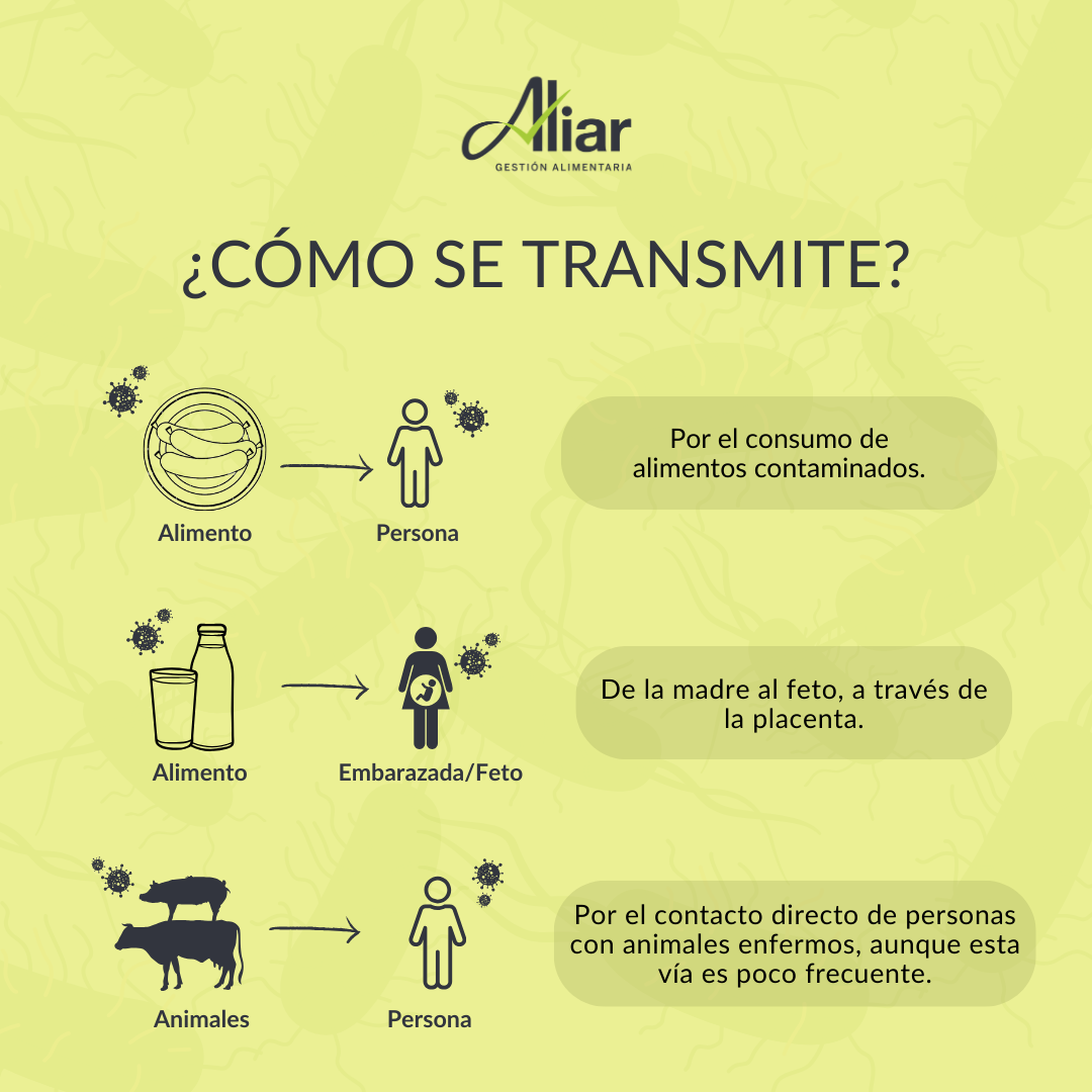 Listeriosis: qué es, transmisión y prevención – Portal de Inocuidad